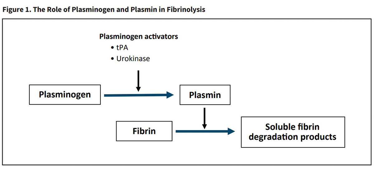 Ryplazim: The First Definitive Treatment for Congenital Plasminogen ...