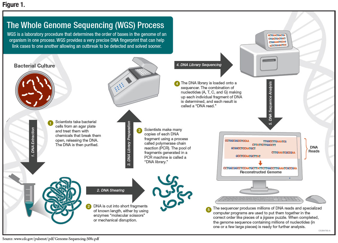 Predictive Medicine: How DNA Testing Is Influencing Healthcare